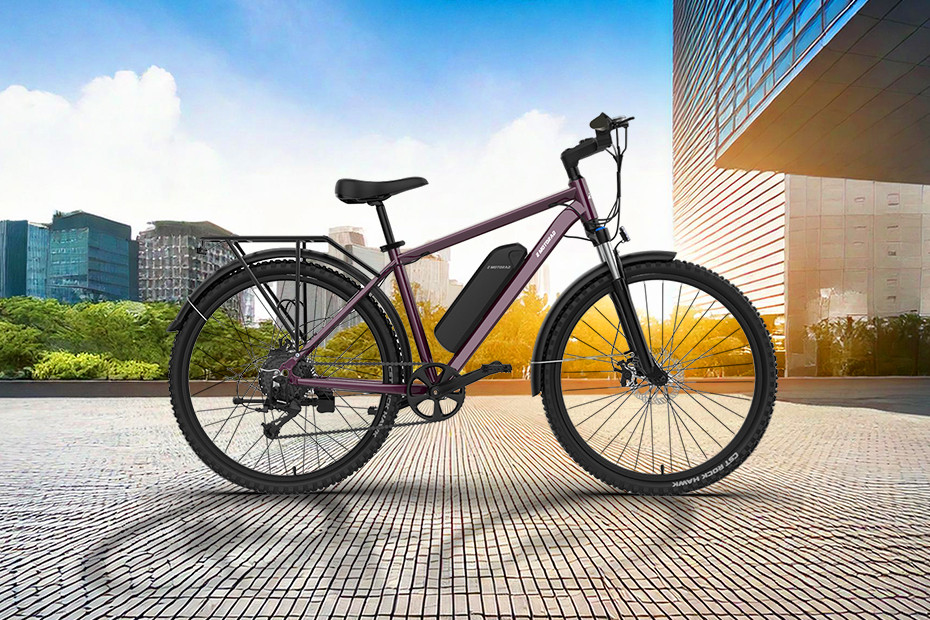 EMotorad T-Rex Pro 29 On road Price, Specifications, Weight, Range