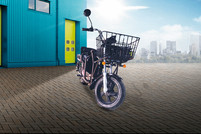 Evolet Dhanno Colours - Check Dhanno Colour Options Available - BikeDekho