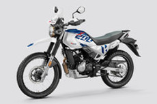 Hero XPulse 200 4V Rally Edition White Colour - XPulse 200 4V Rally ...